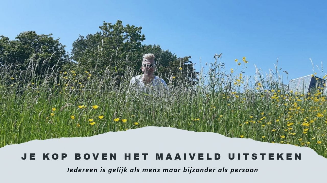 Je kop boven het maaiveld uitsteken - Inspiredbycor